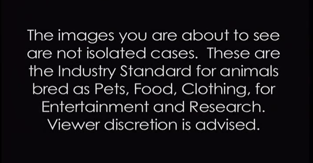 Earthlings - Full Documentary